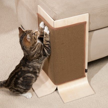 Katze Sofa Fernhalten