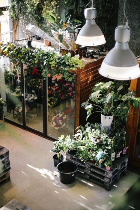The beginners guide to setting up an indoor garden | Comfort Works Blog ...