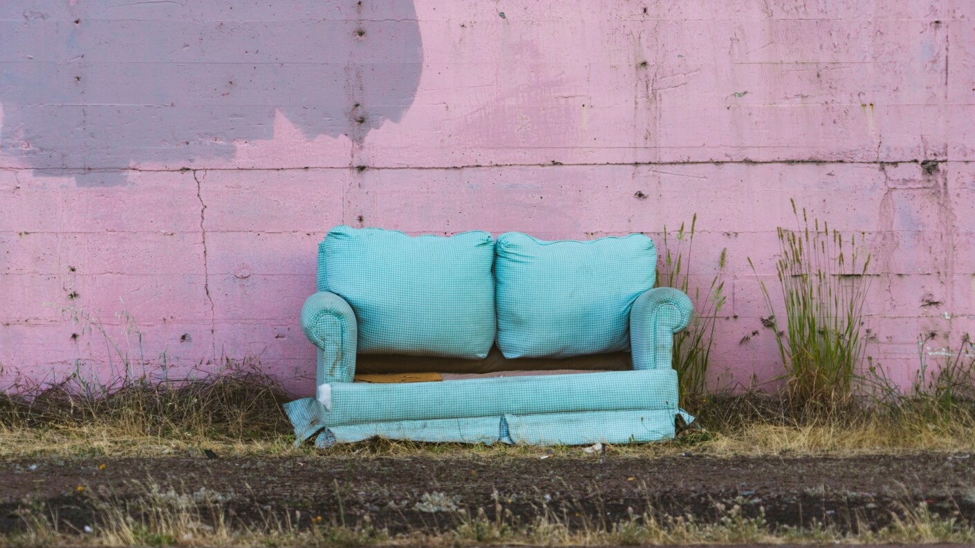 12 ways to protect your sofa from pets | Comfort Works Blog & Sofa ...